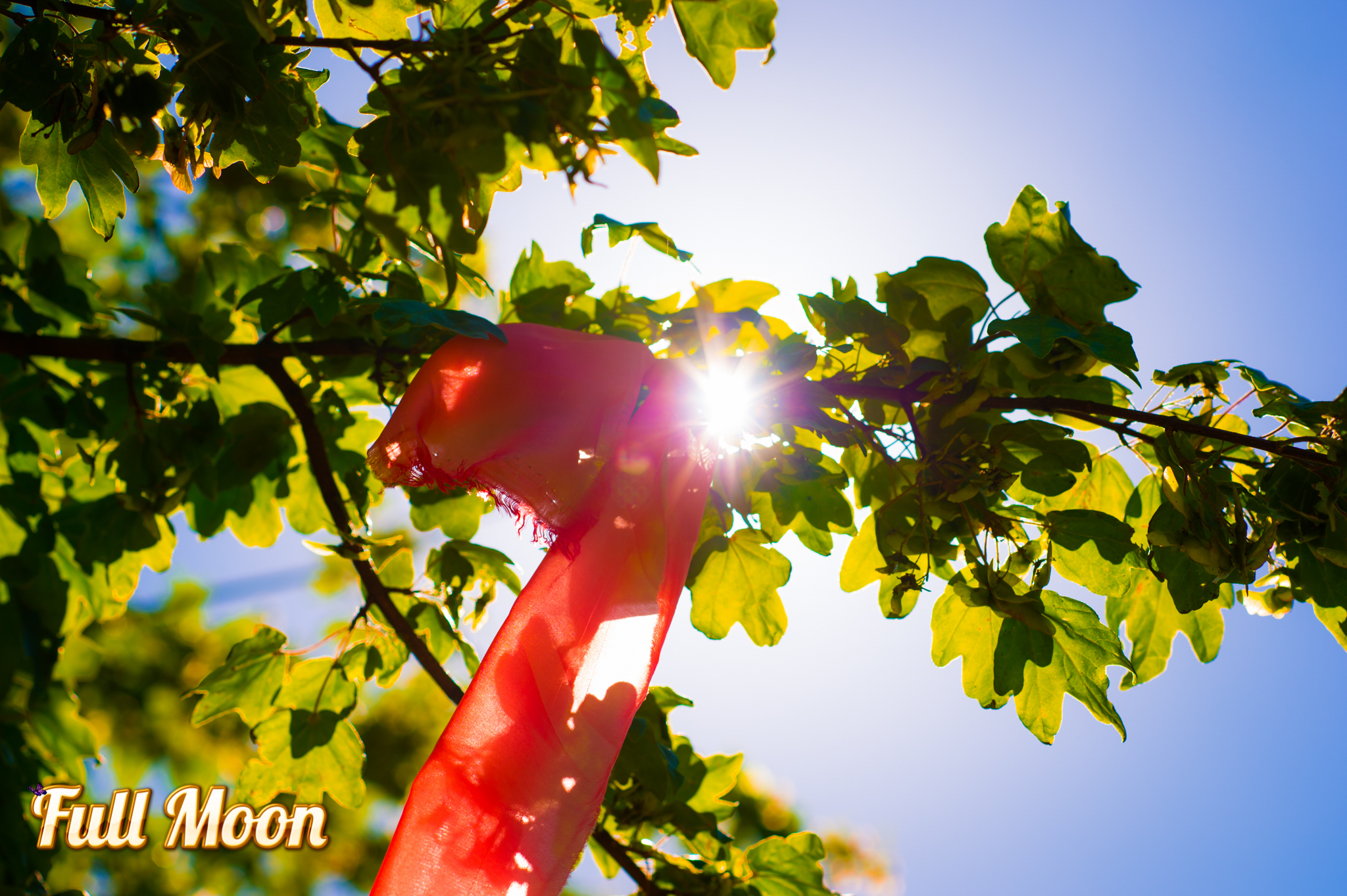 CONTACT – Full Moon Festival